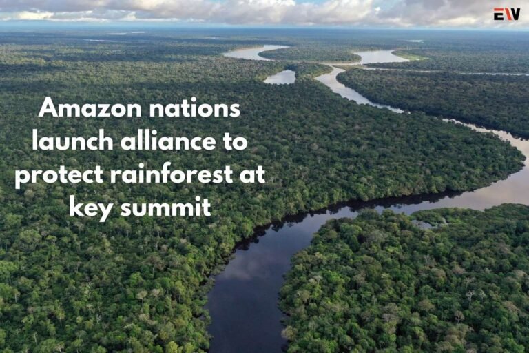 Amazon nations launch alliance to protect rainforest at key summit ...