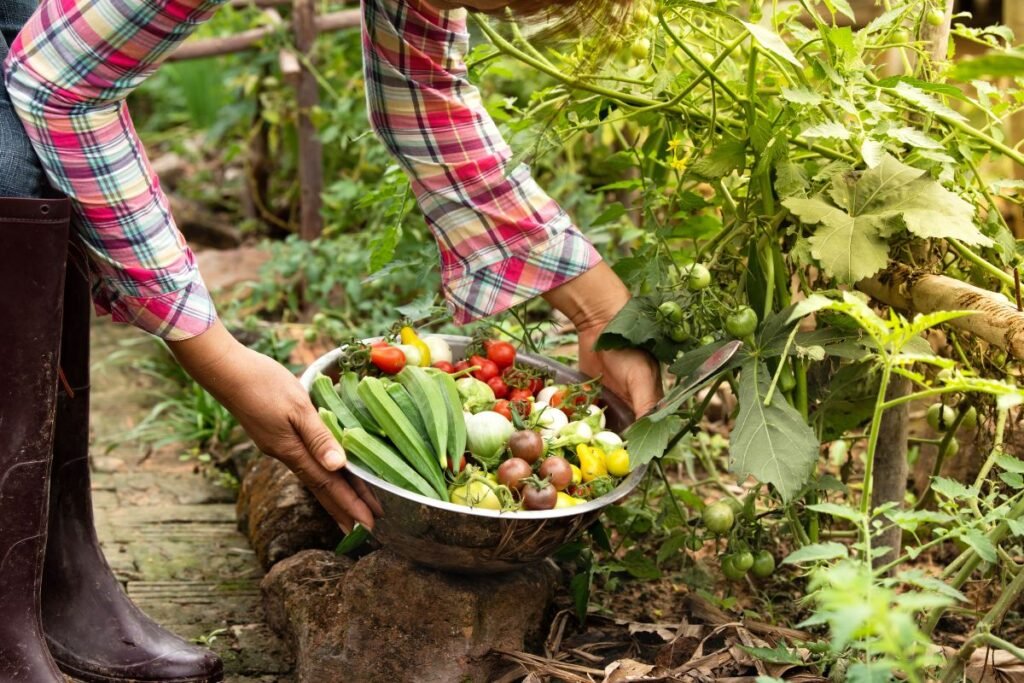 7 Sustainable Farming Practices: A Guide to Eco-Friendly Agriculture ...