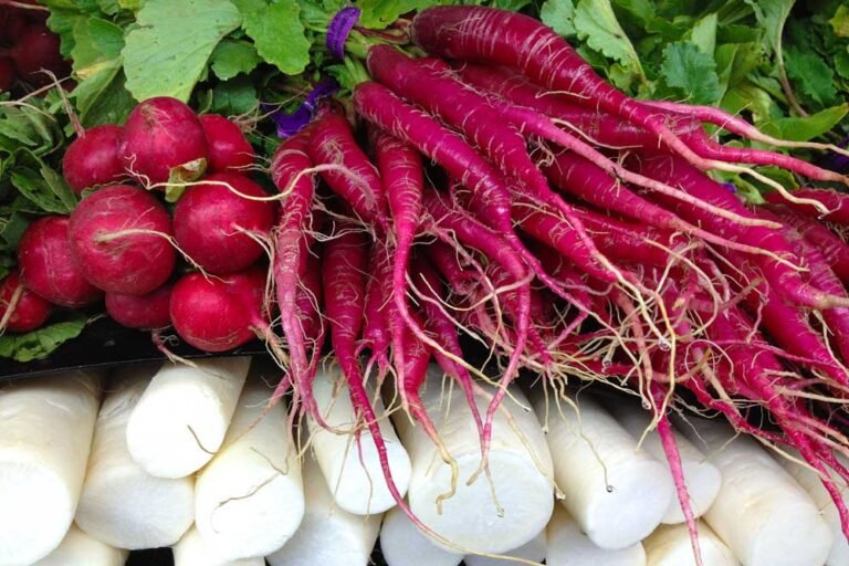 10 Roots That Are Edible: Discover the Nutritious Gems Below the ...