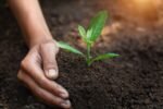 5 Principles of Soil Health: Foundation for Sustainable Agriculture ...