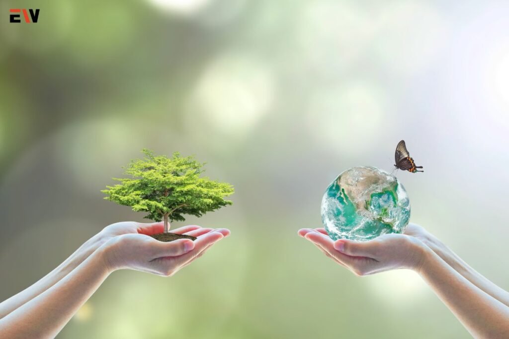 Sustainability Programs: Innovations for a Greener Tomorrow ...