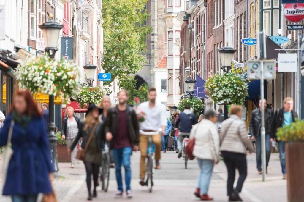 Suburbs vs Urban: Which Lifestyle Should You Choose? | Enterprise Wired