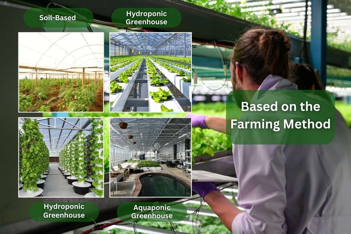 Greenhouse Farming a Guide towards Sustainable Agriculture | Enterprise ...
