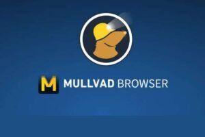 Top 15 Most Secure Web Browsers in 2025 for Safe & Private Browsing ...