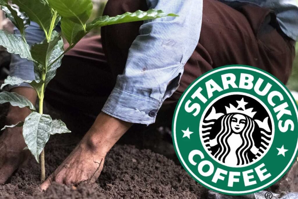 Brewing a Better World: Starbucks C.A.F.E. Practices in Action ...
